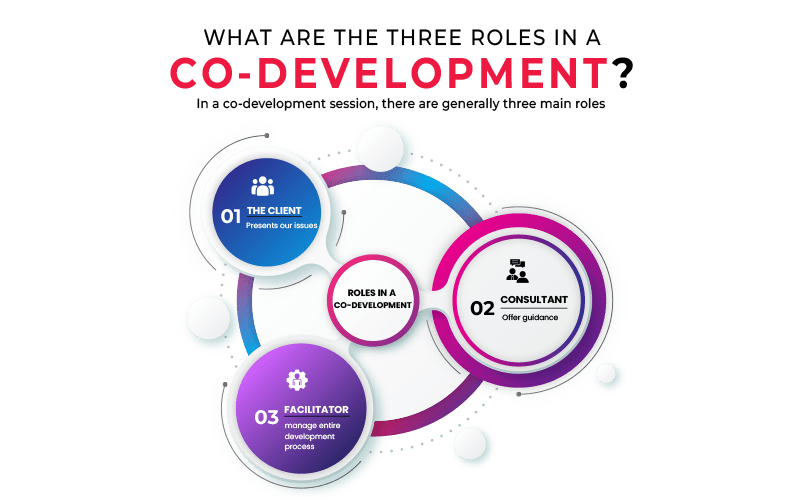 Three-roles-in-a-co-development