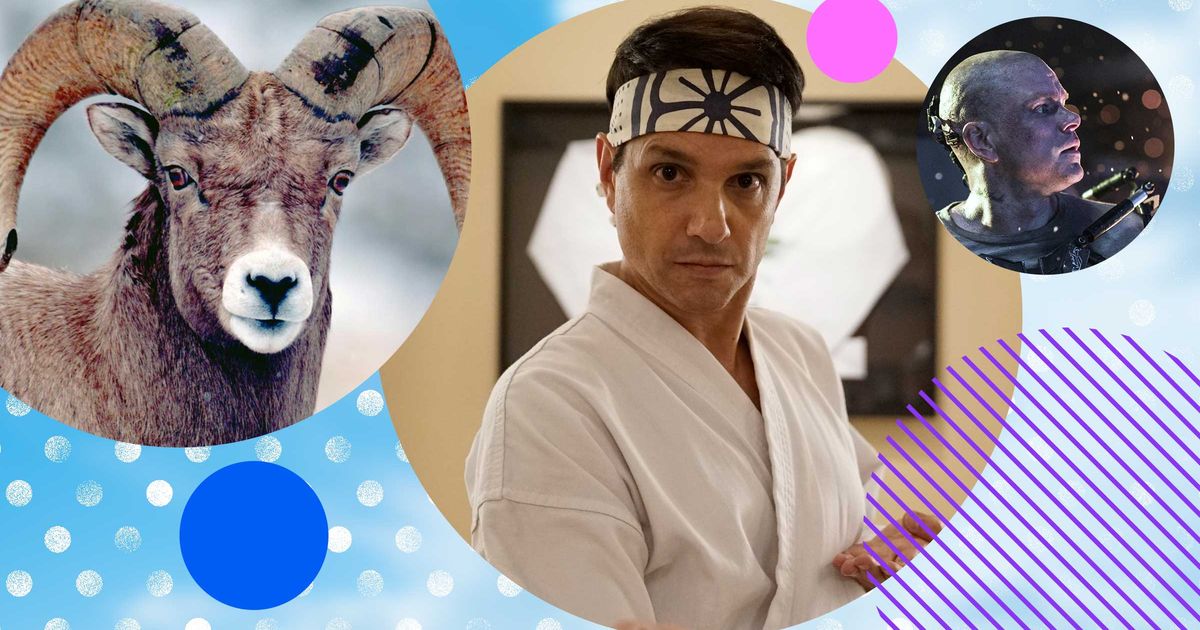 What to watch in UHD April 2025 | Virgin TV Ultra HD Channel | Virgin ...