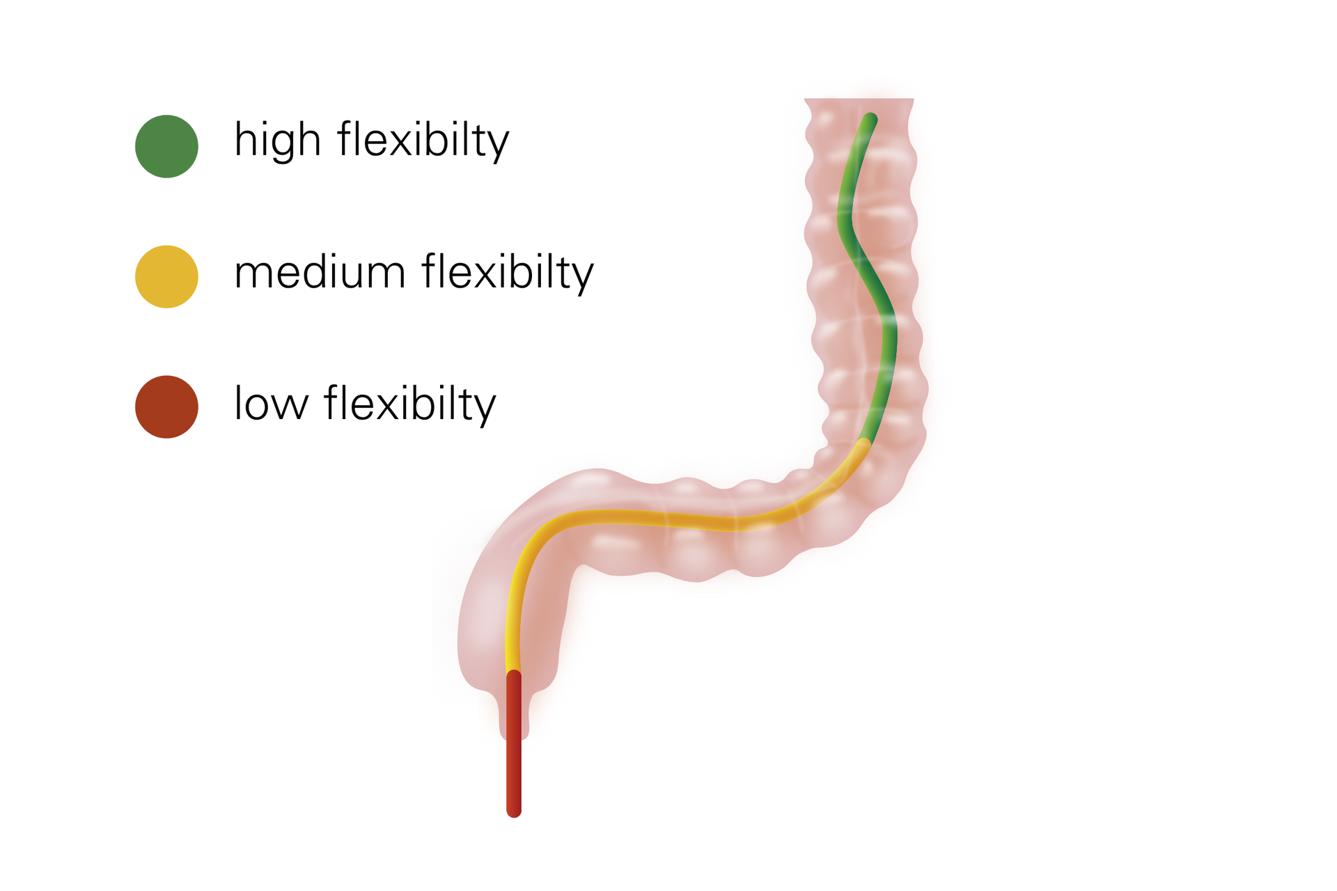 PENTAX Medical i10-Series HD+ video endoscopes