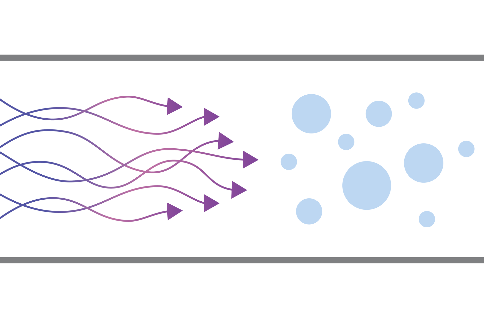 Endoscope Drying & Storage: PlasmaTYPHOON+ & PlasmaBAG