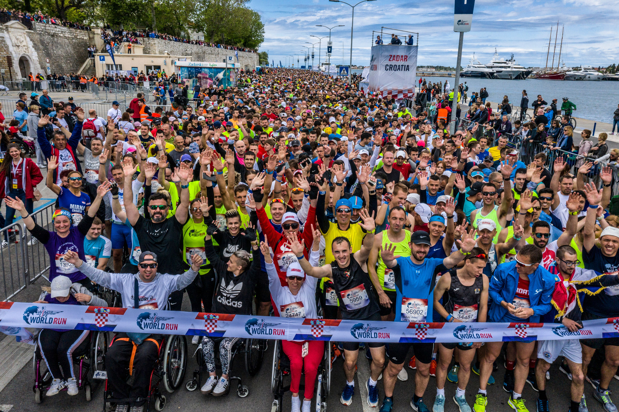 What is the Wings for Life World Run?