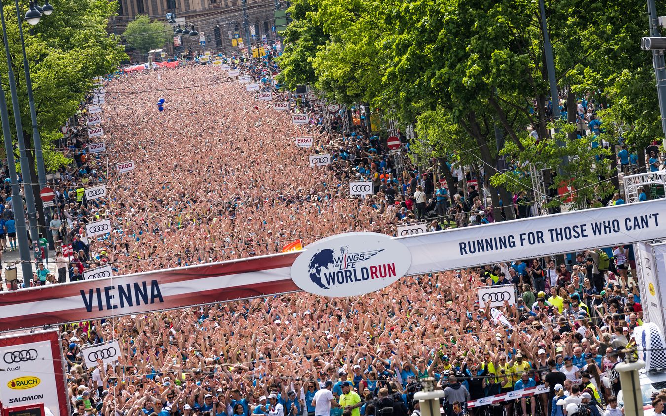 FLAGSHIP RUN WIEN – ALLES, WAS DU JETZT WISSEN MUSST!