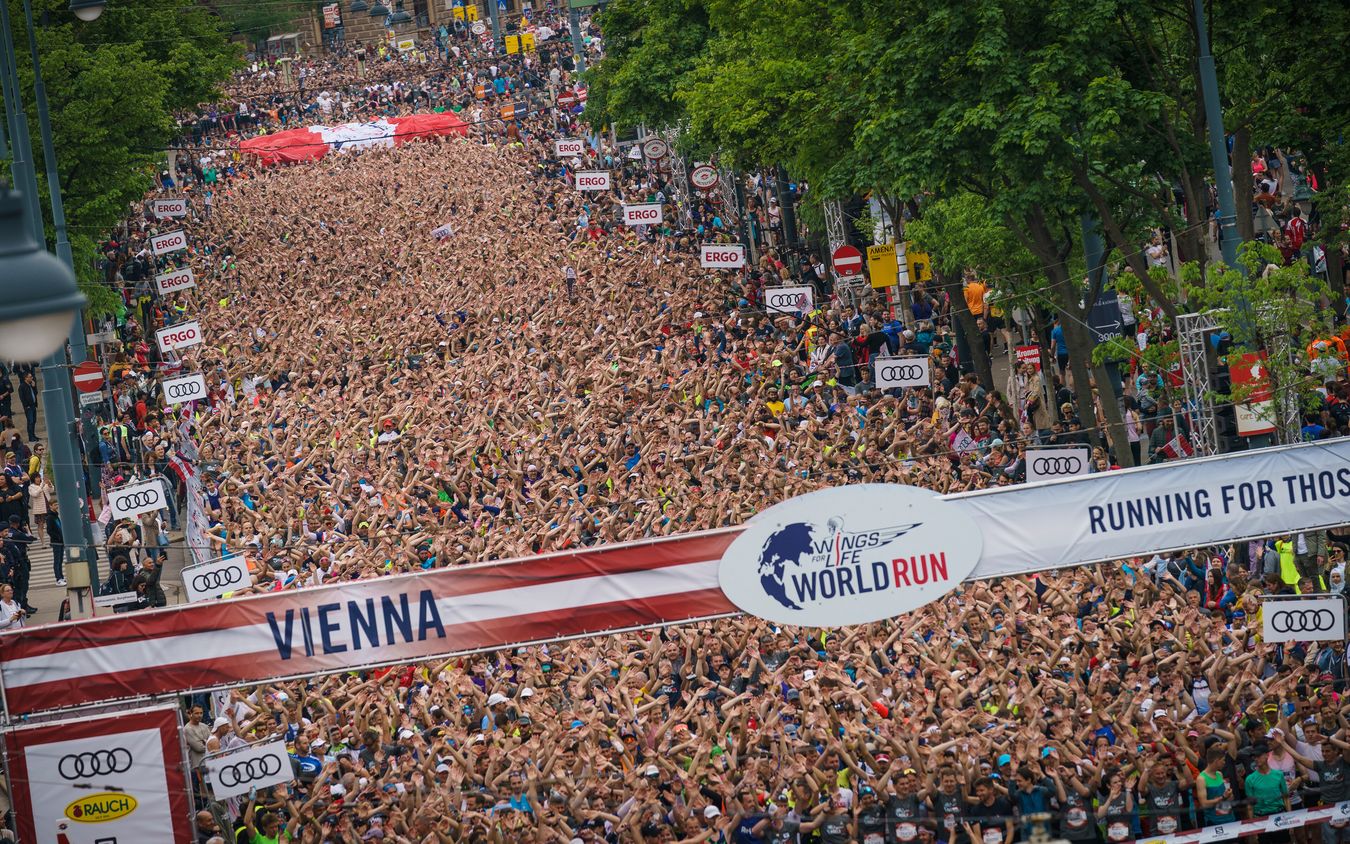 FLAGSHIP RUN WIEN – ALLES, WAS DU JETZT WISSEN MUSST! - Wings for Life World Run