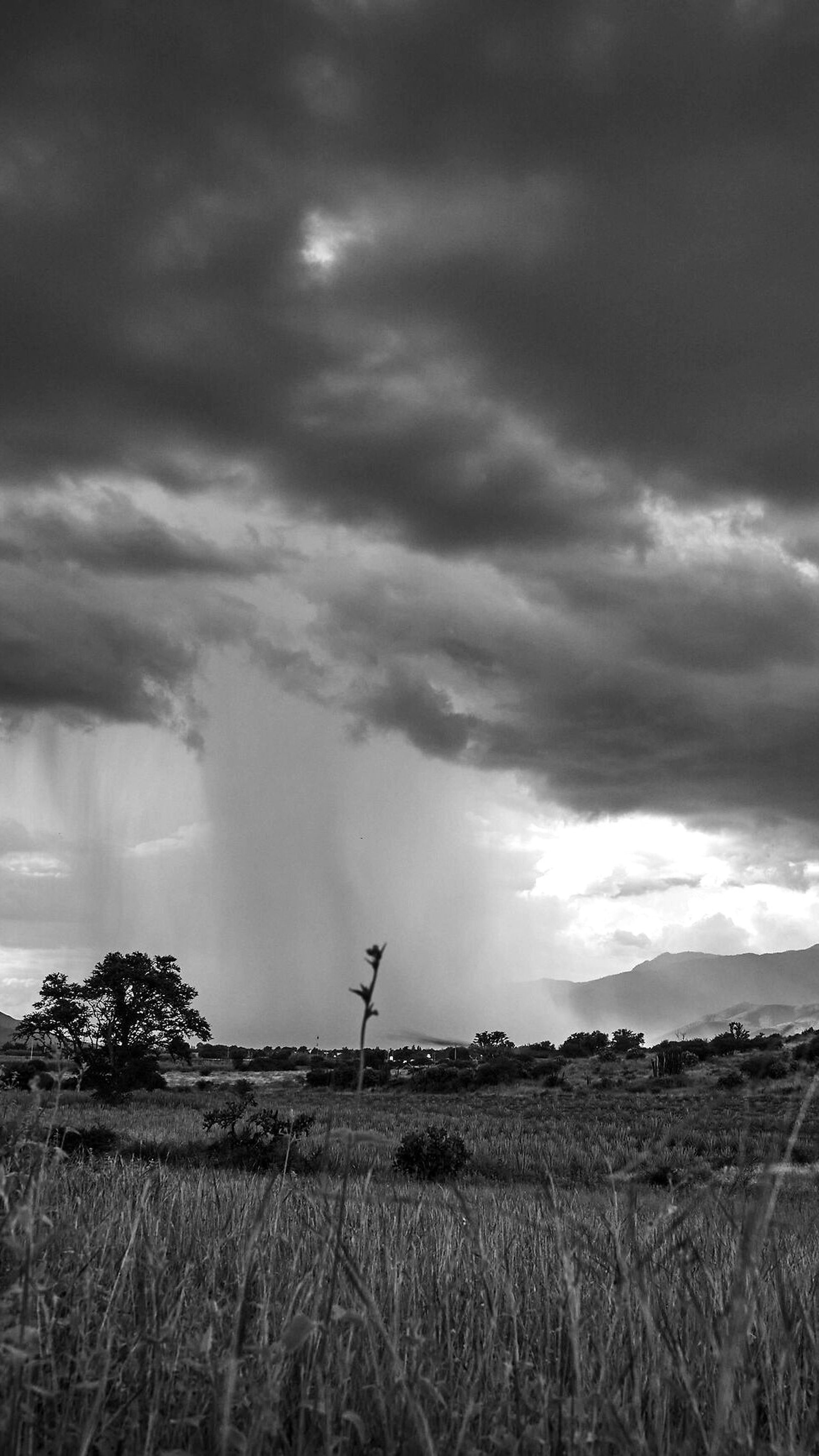 BMW Foundation: Climate Action in Mexico