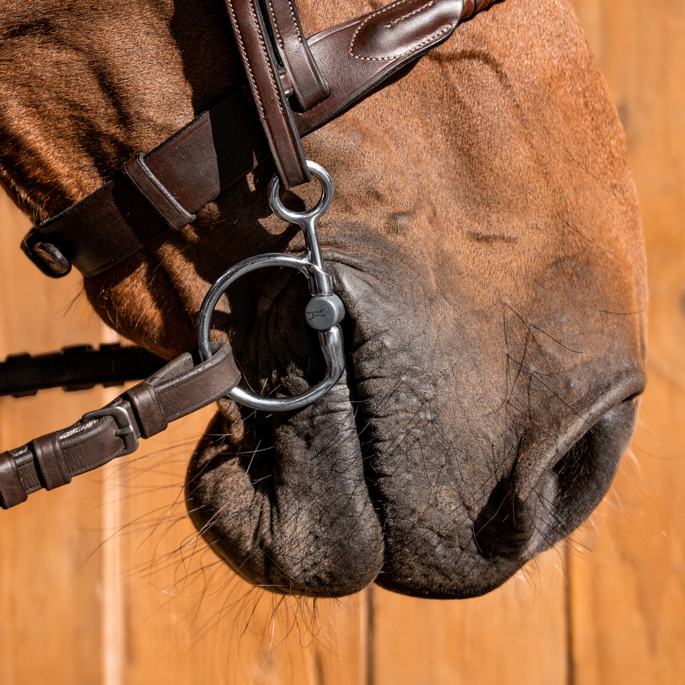 The function of a baucher bit | Fager Bits