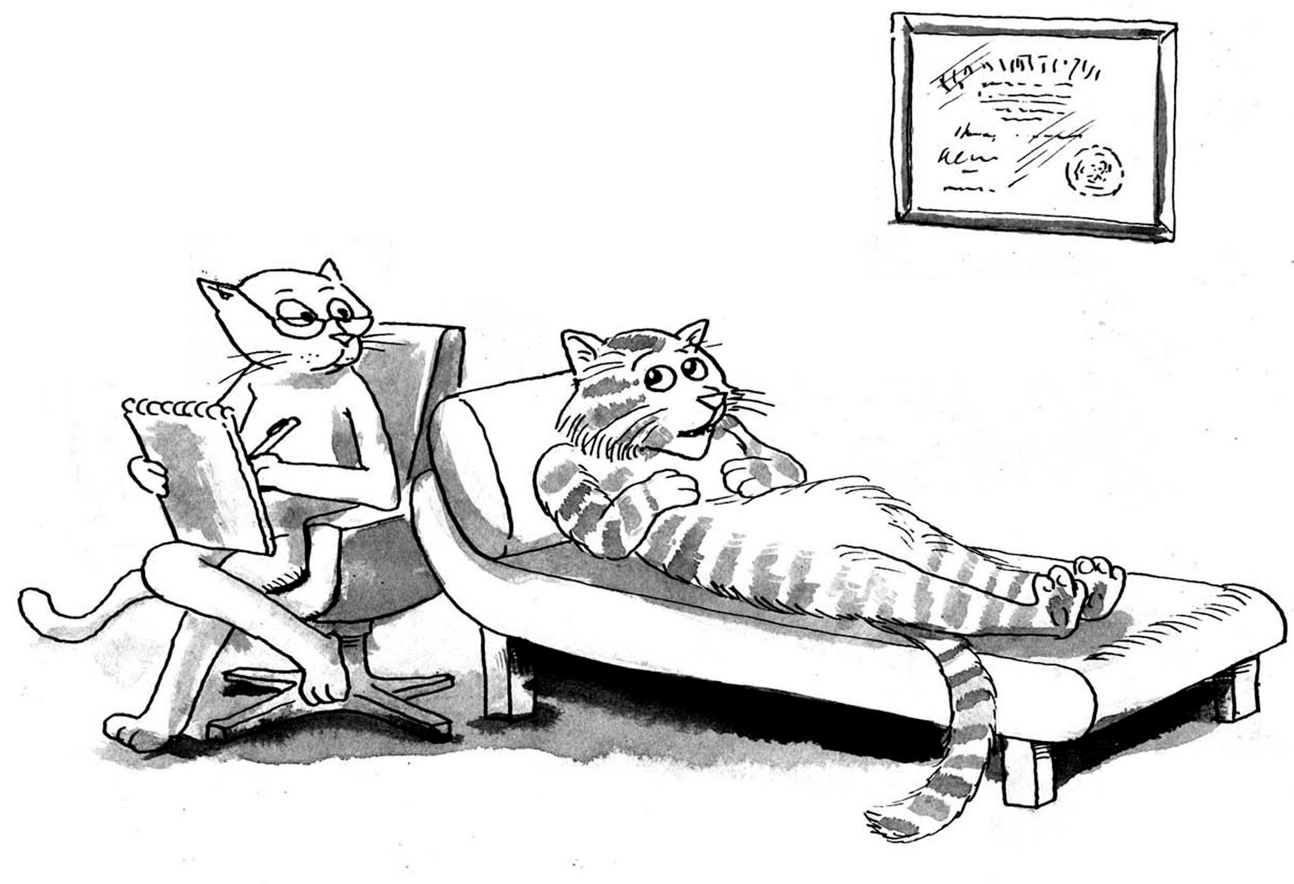Animal-Assisted Therapy v Animal Therapy - Team DSC