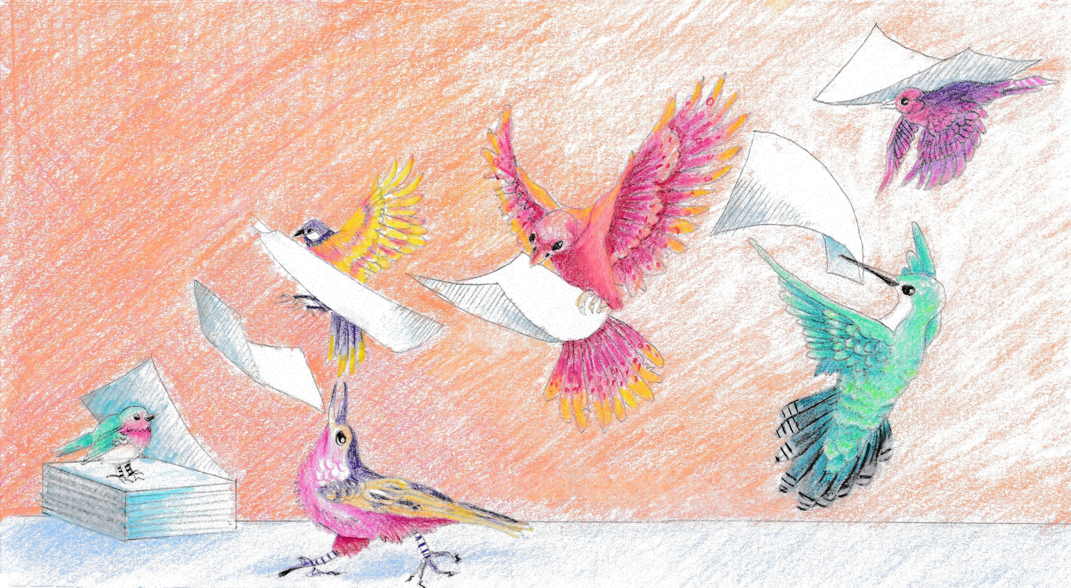 Breaking: Response to Disability Royal Commission - Team DSC