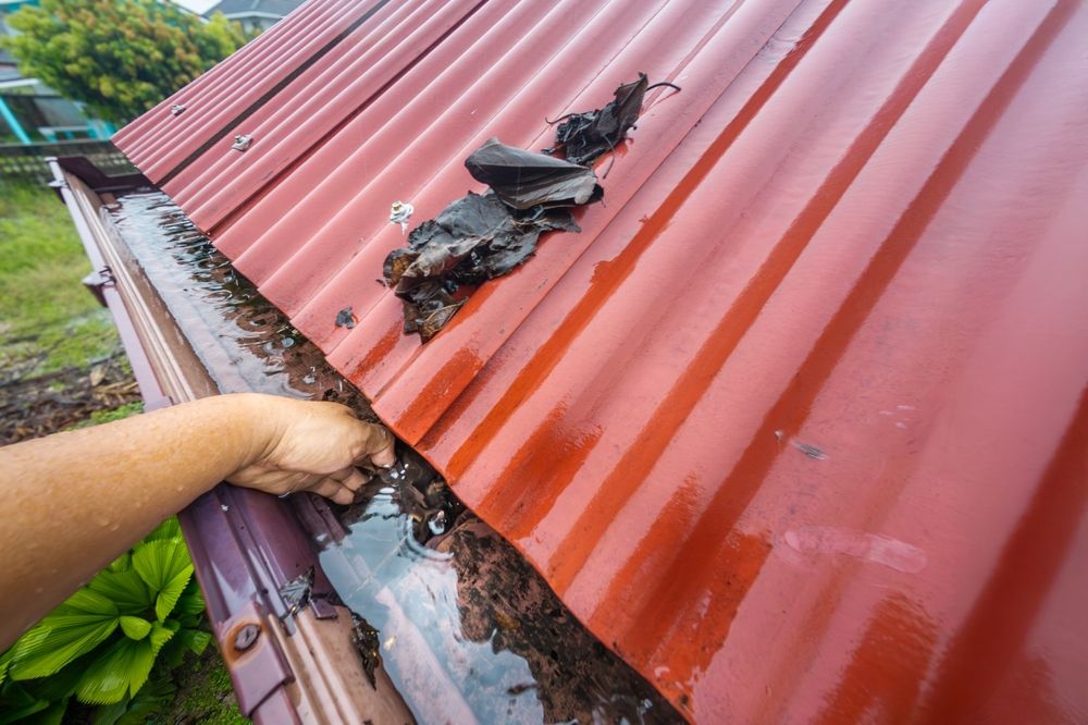 Is rainwater safe to drink? Guide to using rainwater at home ...
