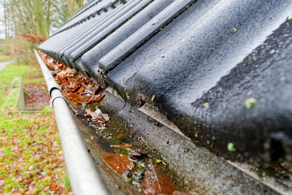 Is rainwater safe to drink? Guide to using rainwater at home ...