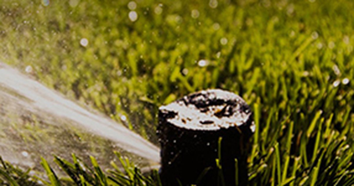 Grondwaterpomp kopen? Binnen 24 uur, gratis geleverd! | Waterpompshop ...