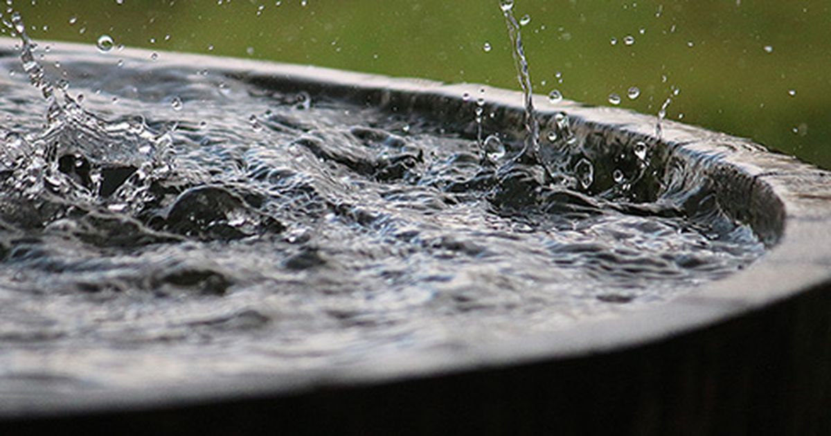 Buying a rain water pump? Free delivery in 48 hours | Waterpump.co.uk ...
