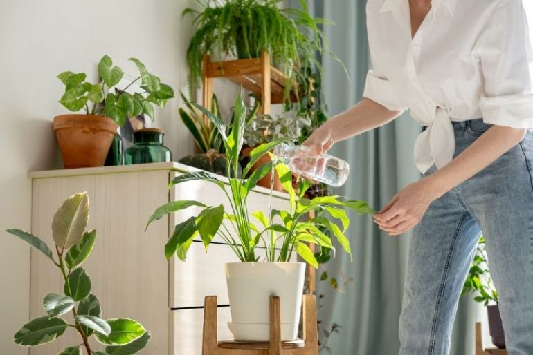 10 easy ways to save water at home - Waterpump.co.uk