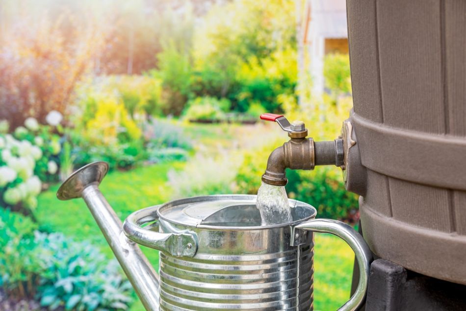 10 easy ways to save water at home - Waterpump.co.uk