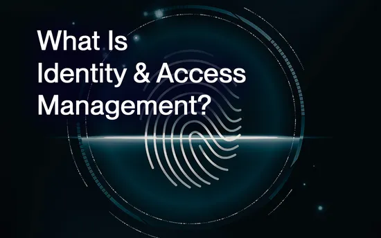 Identity & Access Management Solutions | Beta Systems
