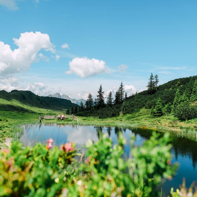 Sommarresor till Bad Gastein | STS Alpresor