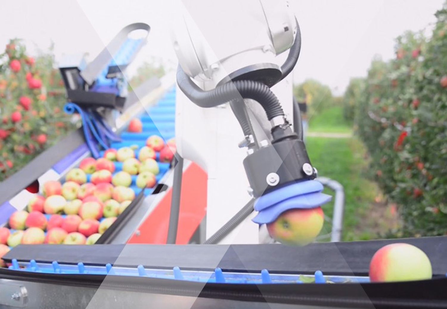 UC5 Apple Picking Robot - NXTGEN Hightech