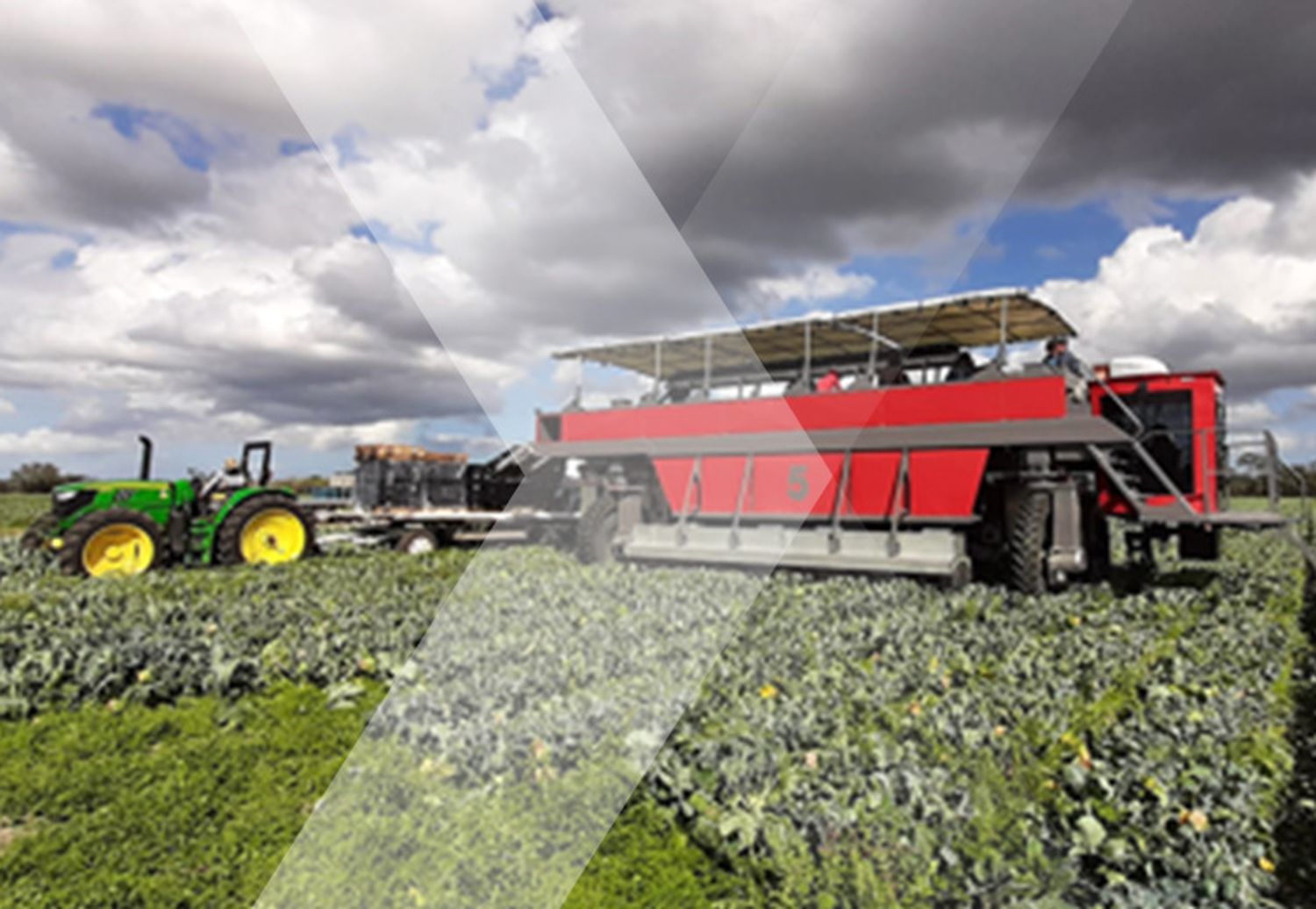 UC6 Handsfree Autonomous Harvesting Open Field Vegatables - NXTGEN Hightech