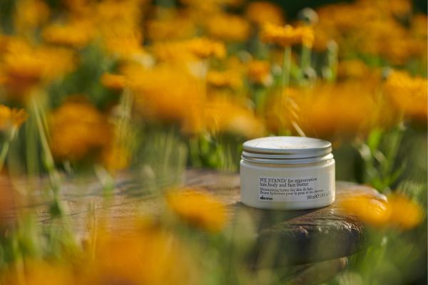 Home [www.davinesprofessional.com]