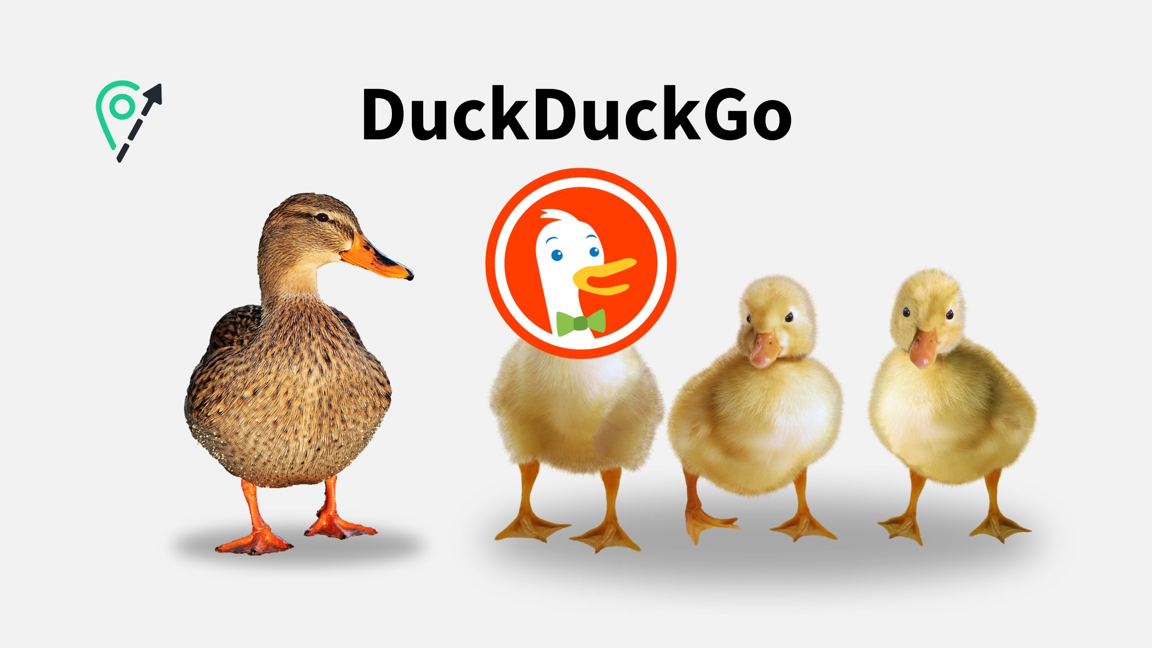 Duck Duck Go Logo Is DuckDuckGo Still The Privacy Champion In 2024? A