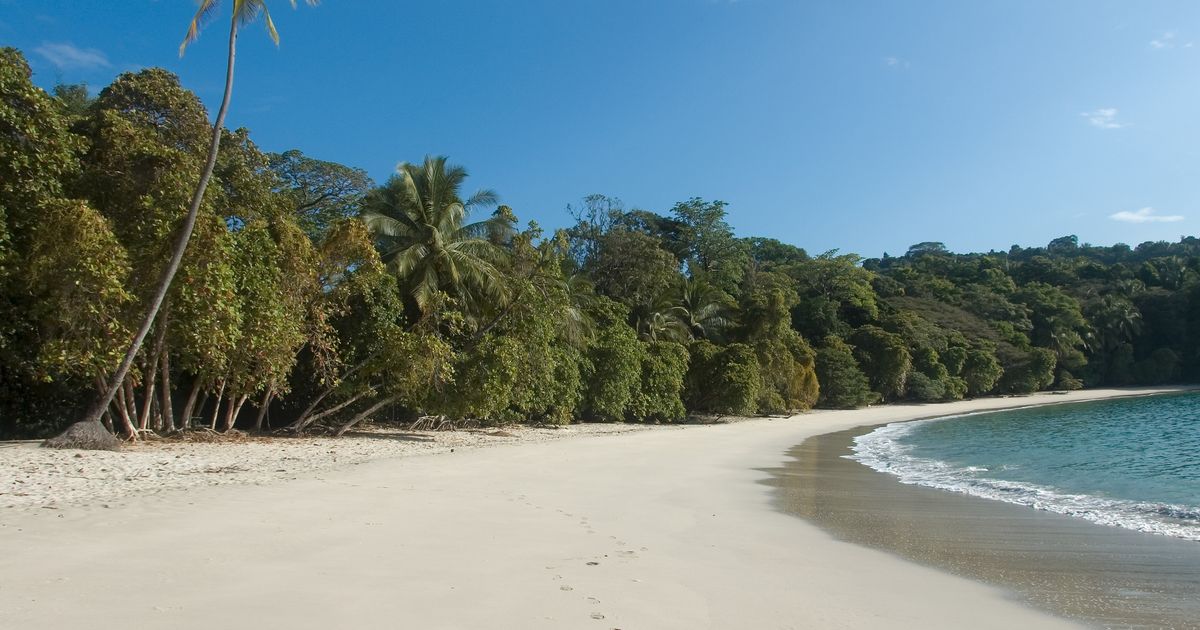 Costa Rica: Touch of the Tropics EF Tour Highlights – Part 4 | EF ...