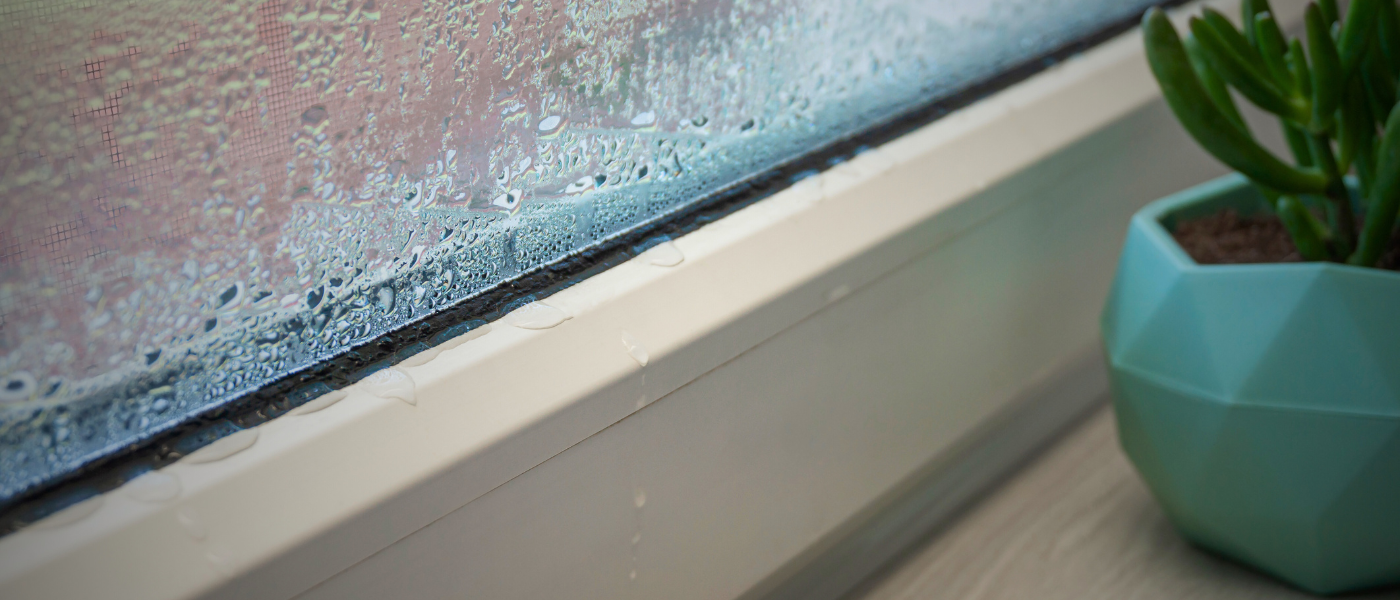 How to Get Rid of Condensation on Windows | 21 Degrees | 21 Degrees