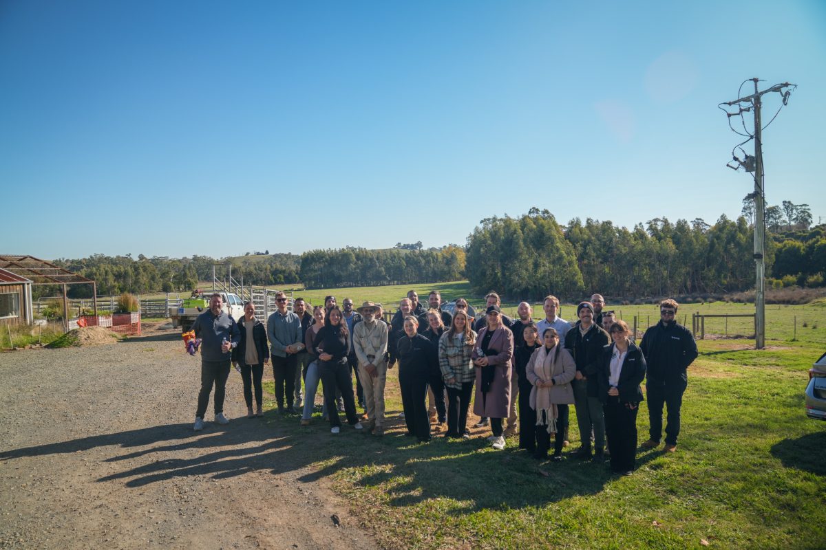 Reconciliation Week 2025: Our journey forward - Wamarra