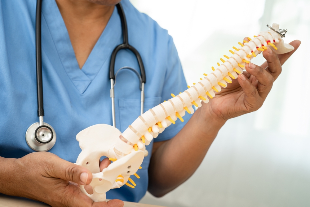 Colonna vertebrale: anatomia e cura quotidiana