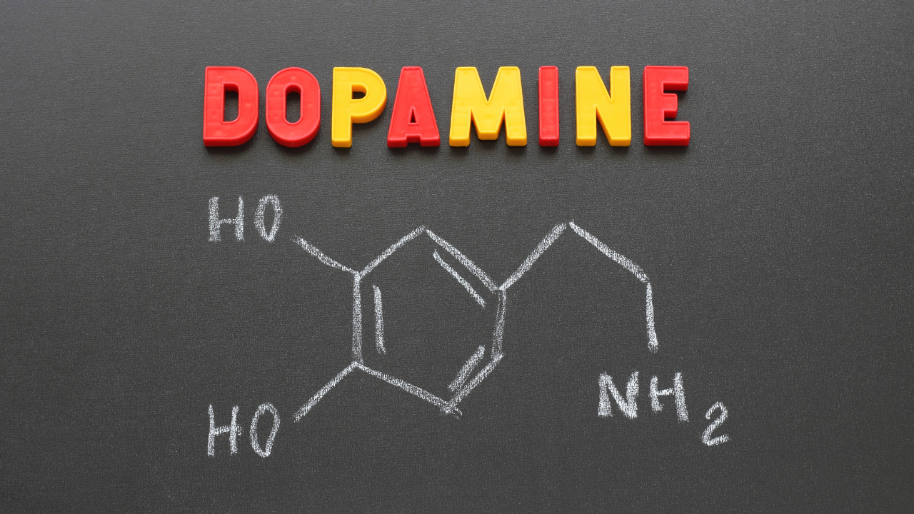 Dopamina: cos’è, funzioni, sintomi e rimedi naturali