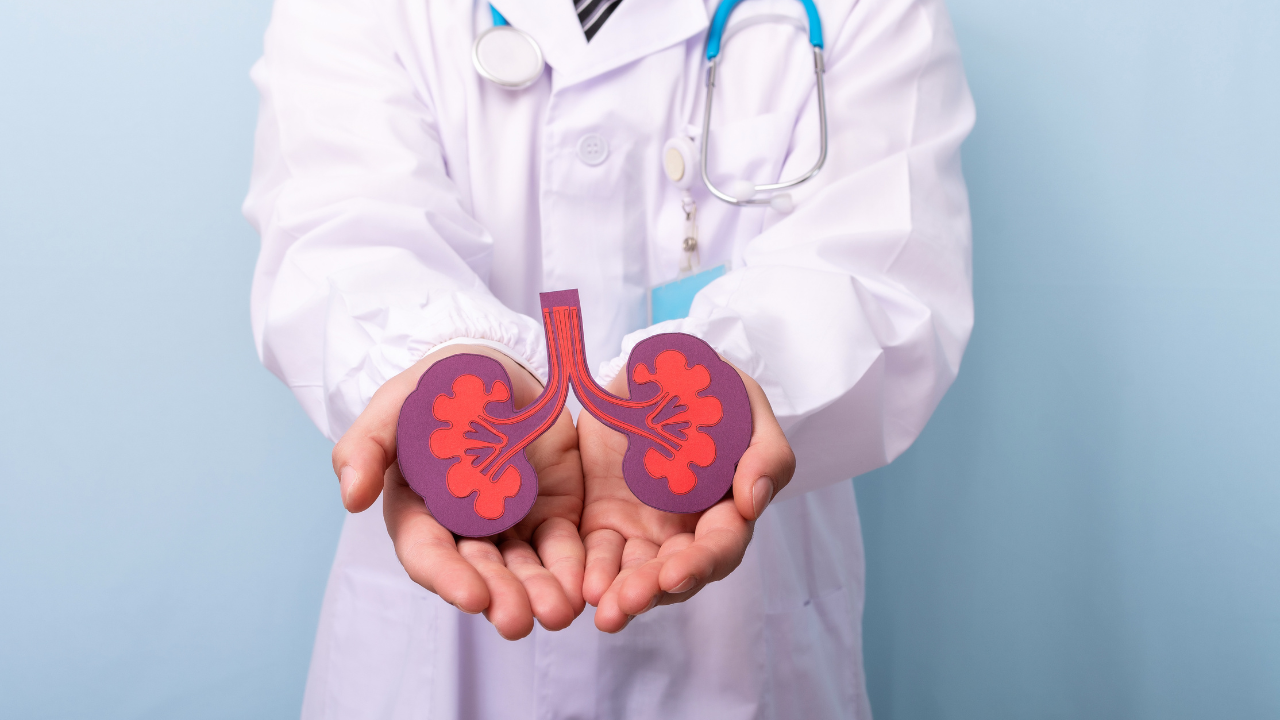 Calcoli renali: cosa sono, come prevenirli e principali cure