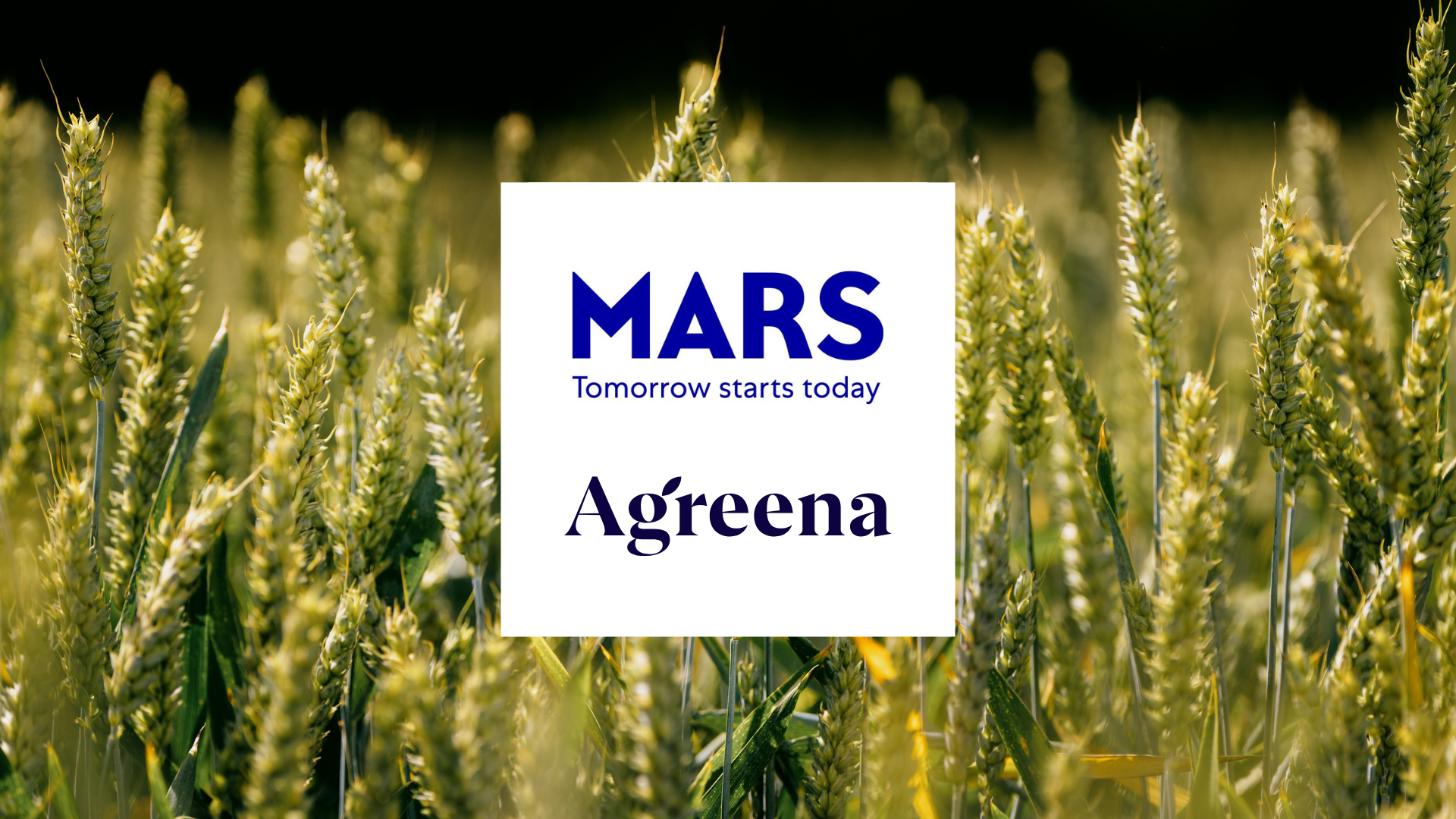 Mars and Agreena announce supply chain partnership