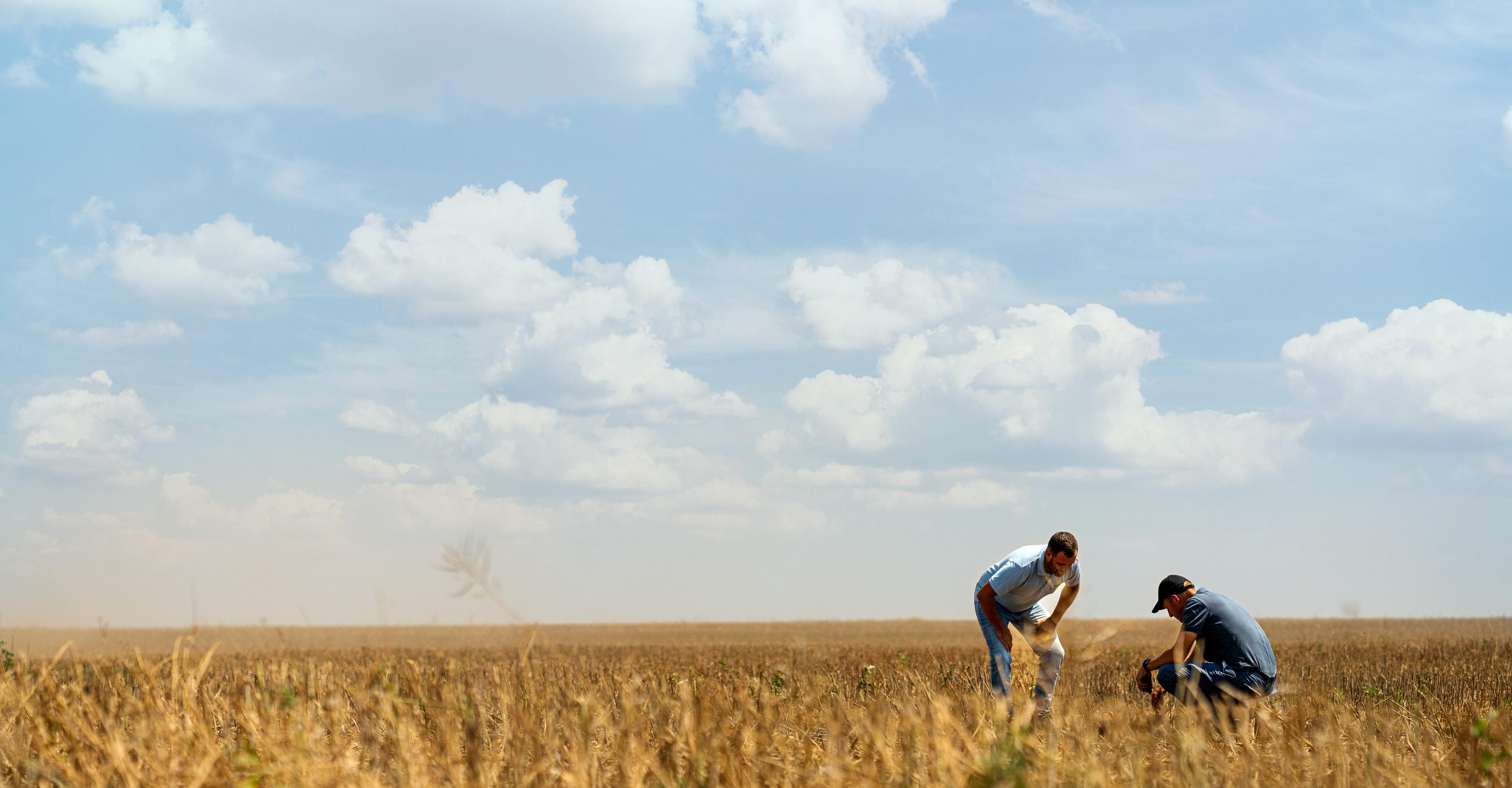 Agreena - growing a sustainable future through healthy soil