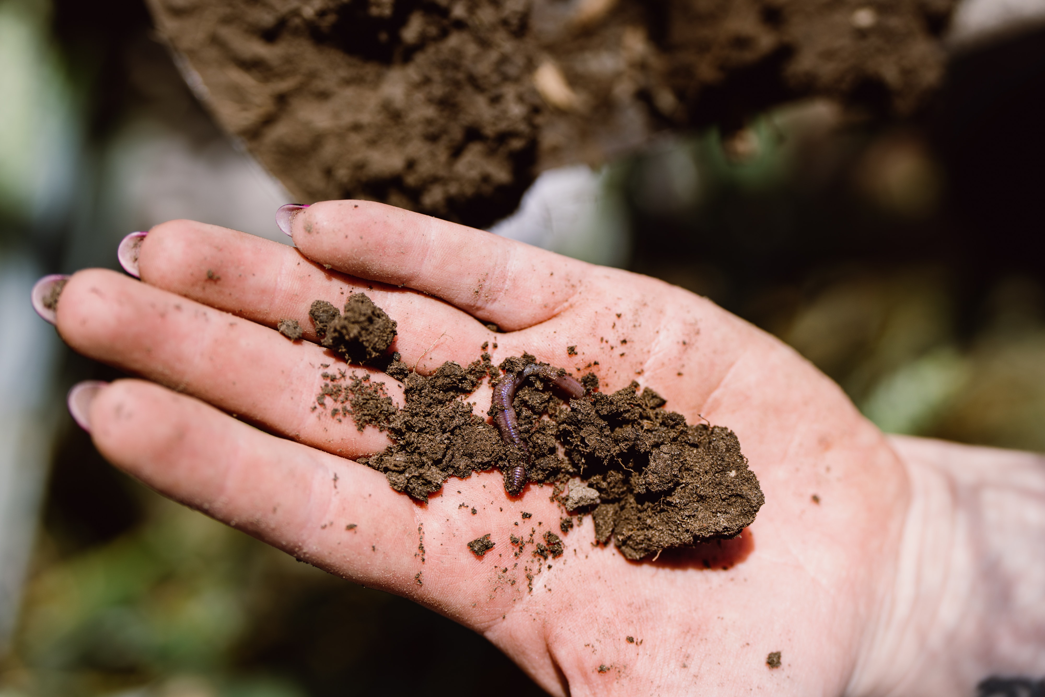 Soil Carbon: How farmers can boost soil health