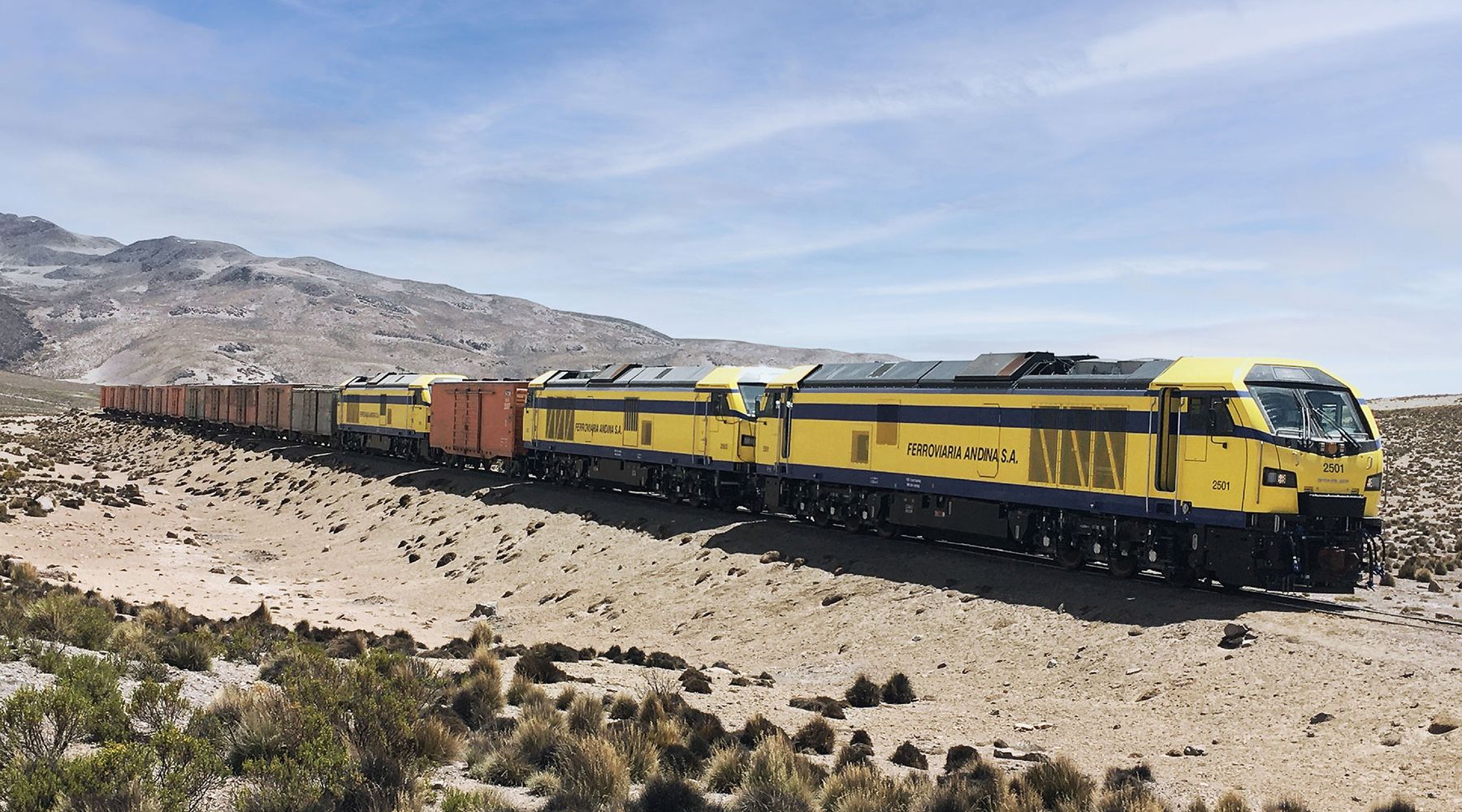 Rolling Stock | Stadler