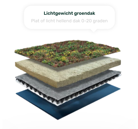 Een sedum groendak van Groendakgemak