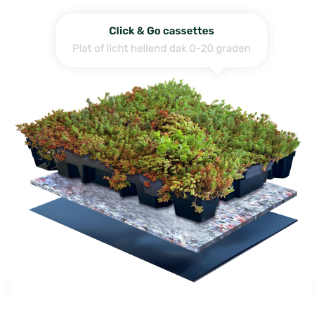 Een sedum groendak van Groendakgemak