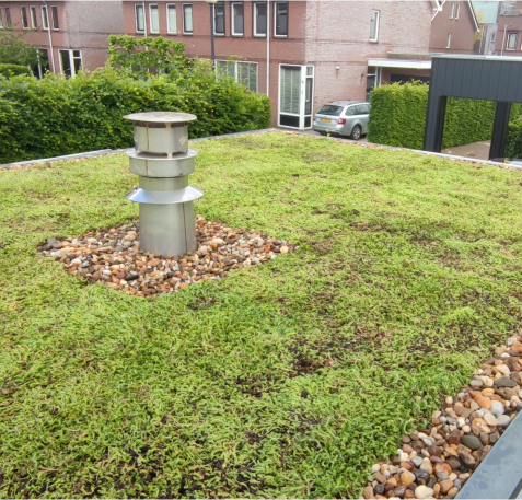 Een sedum groendak van Groendakgemak