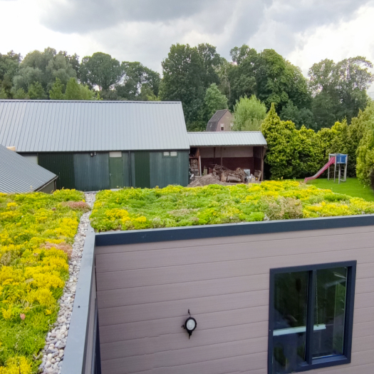 Een sedum groendak van Groendakgemak