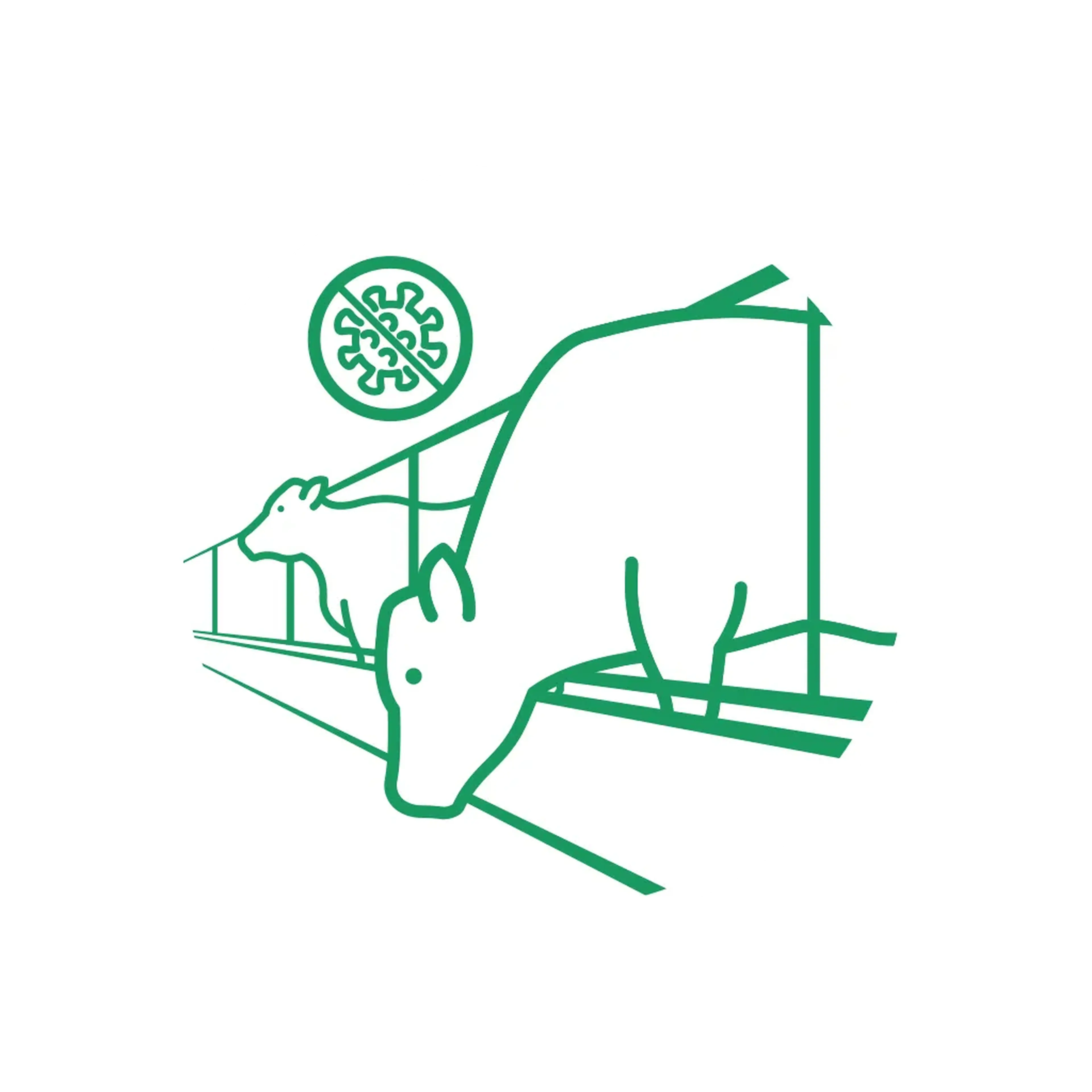 Protect your dairy cattle from rumen acidosis