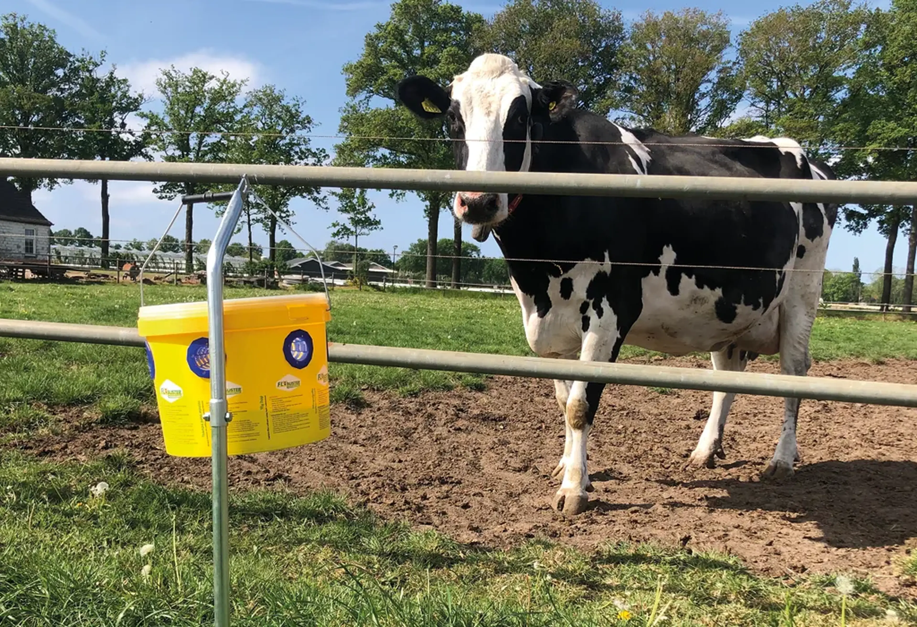 Flybuster | the natural & effective fly trap for livestock farms