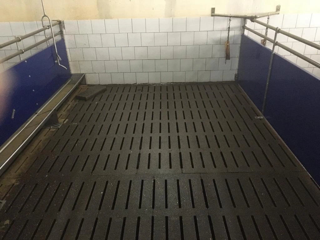 Robot de pulvérisation EVO Cleaner - Robot de pulvérisation efficace ...