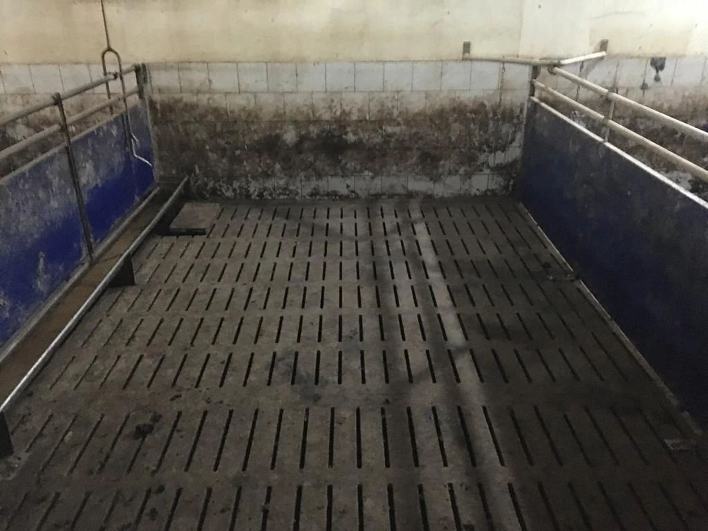 Robot de pulvérisation EVO Cleaner - Robot de pulvérisation efficace ...