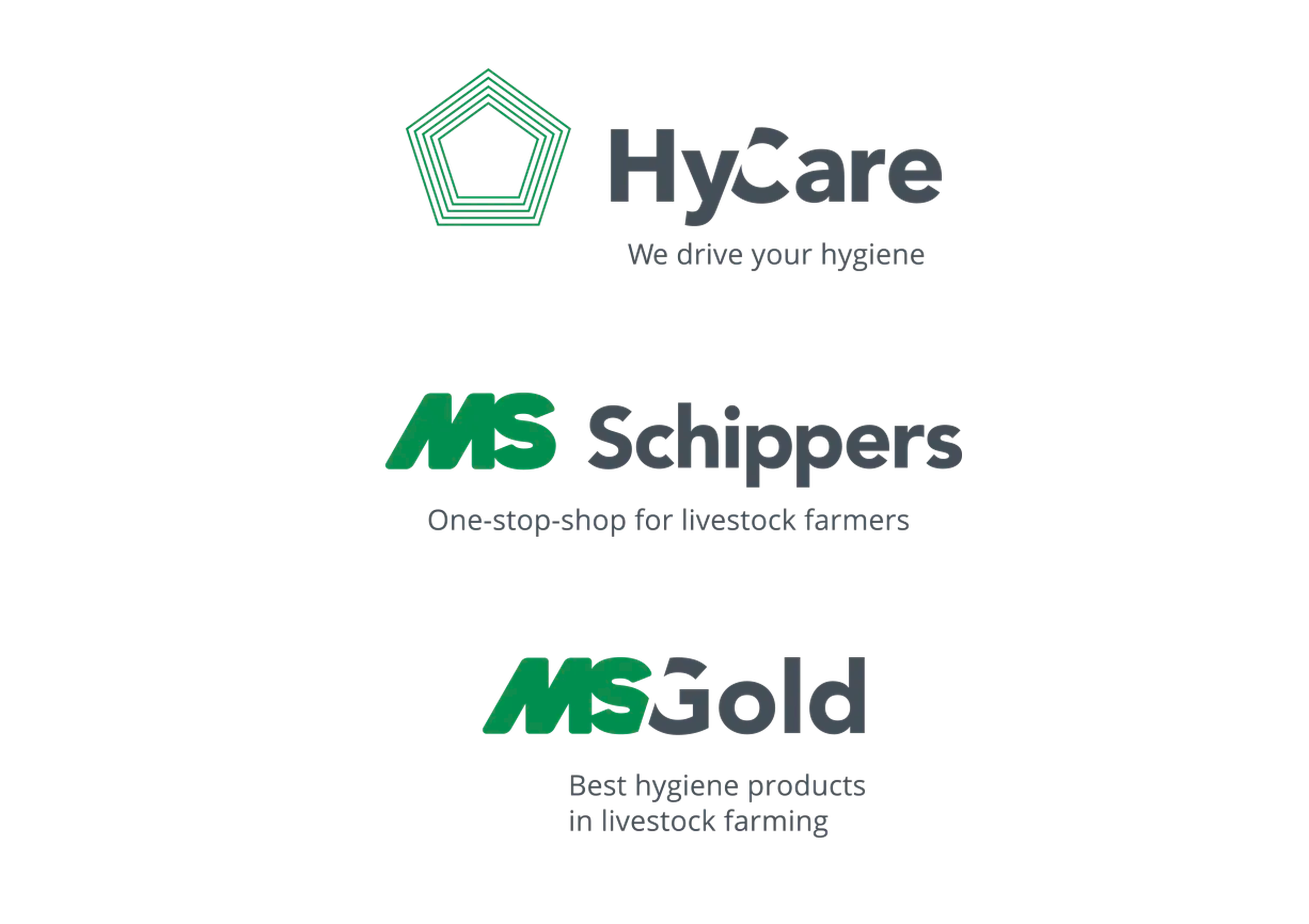 About The Schippers Group | MS Schippers