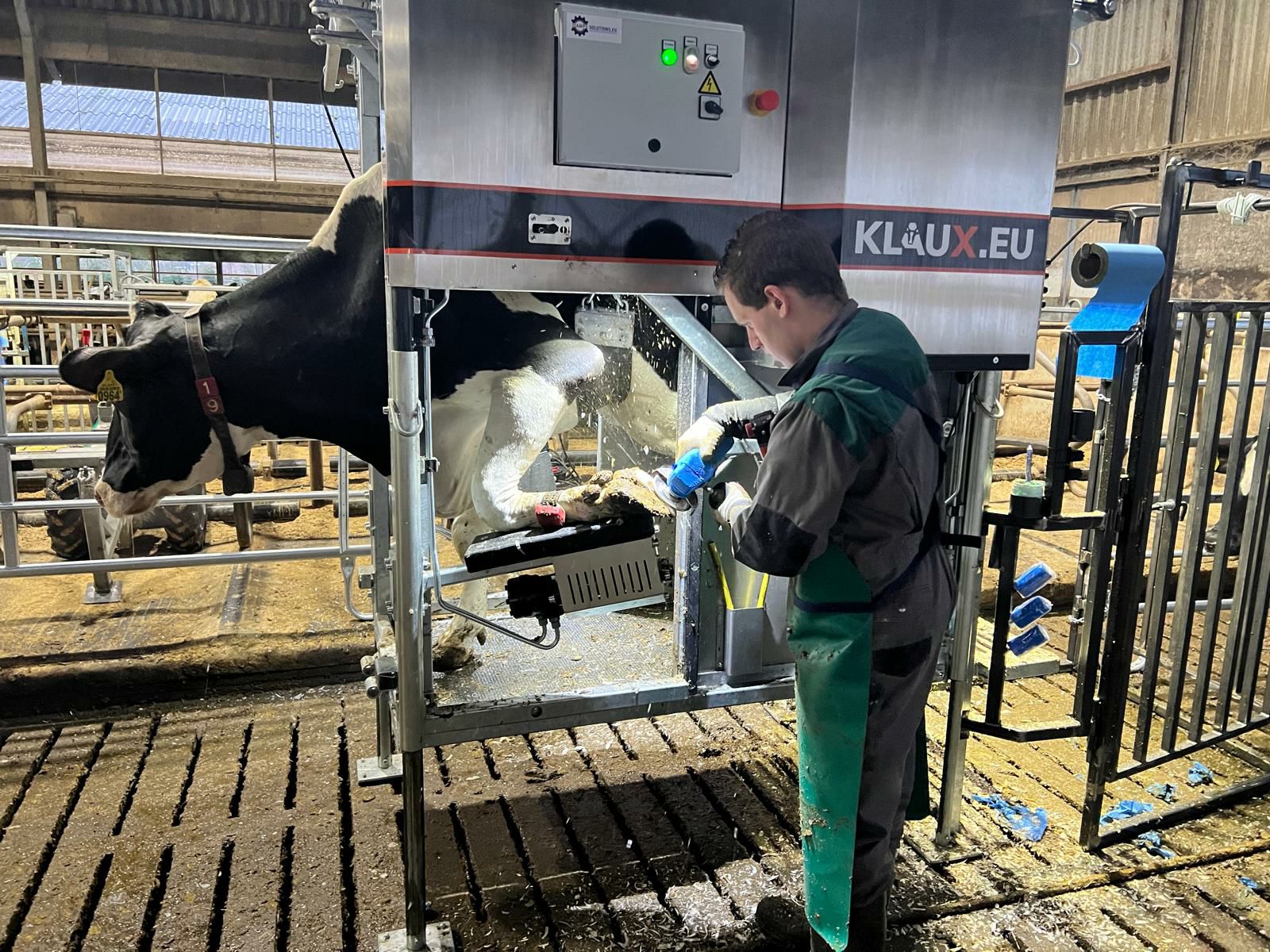 Améliorer le confort et la sécurité lors du parage des sabots des ...