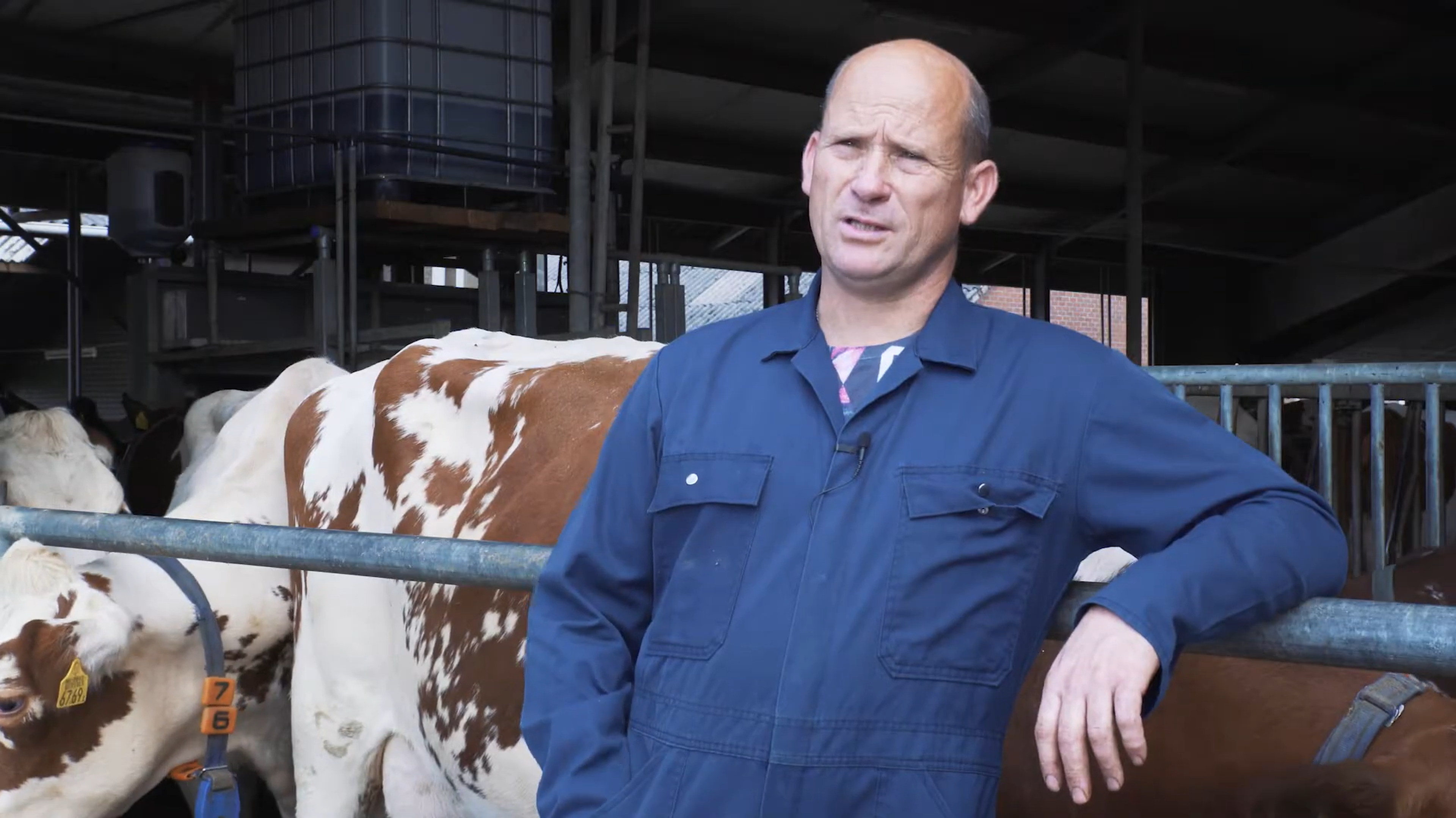 Voergang coating voor melkvee: duurzaam en hygiënisch