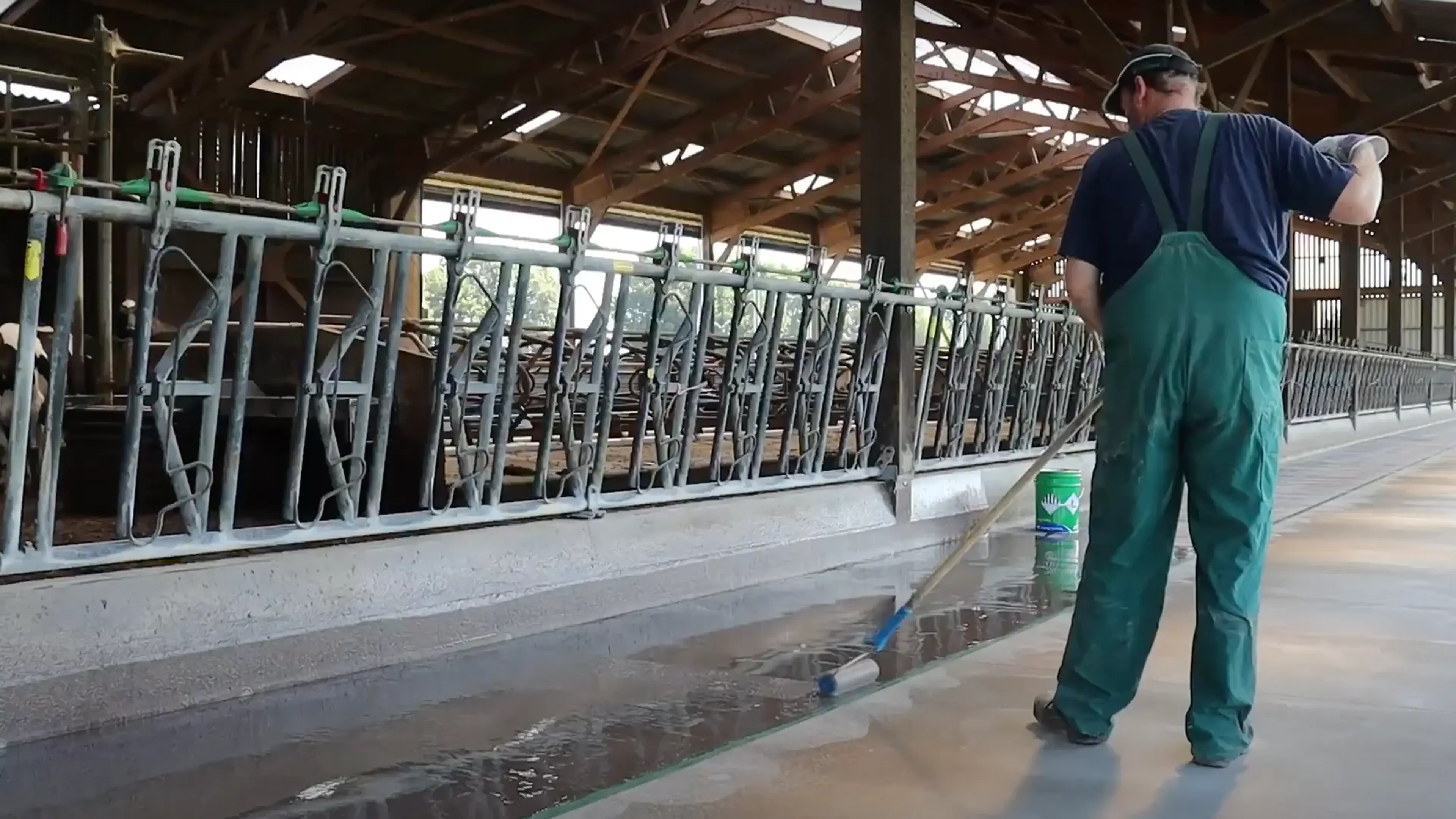 Feed alley coating | Cattle farms | MS Schippers