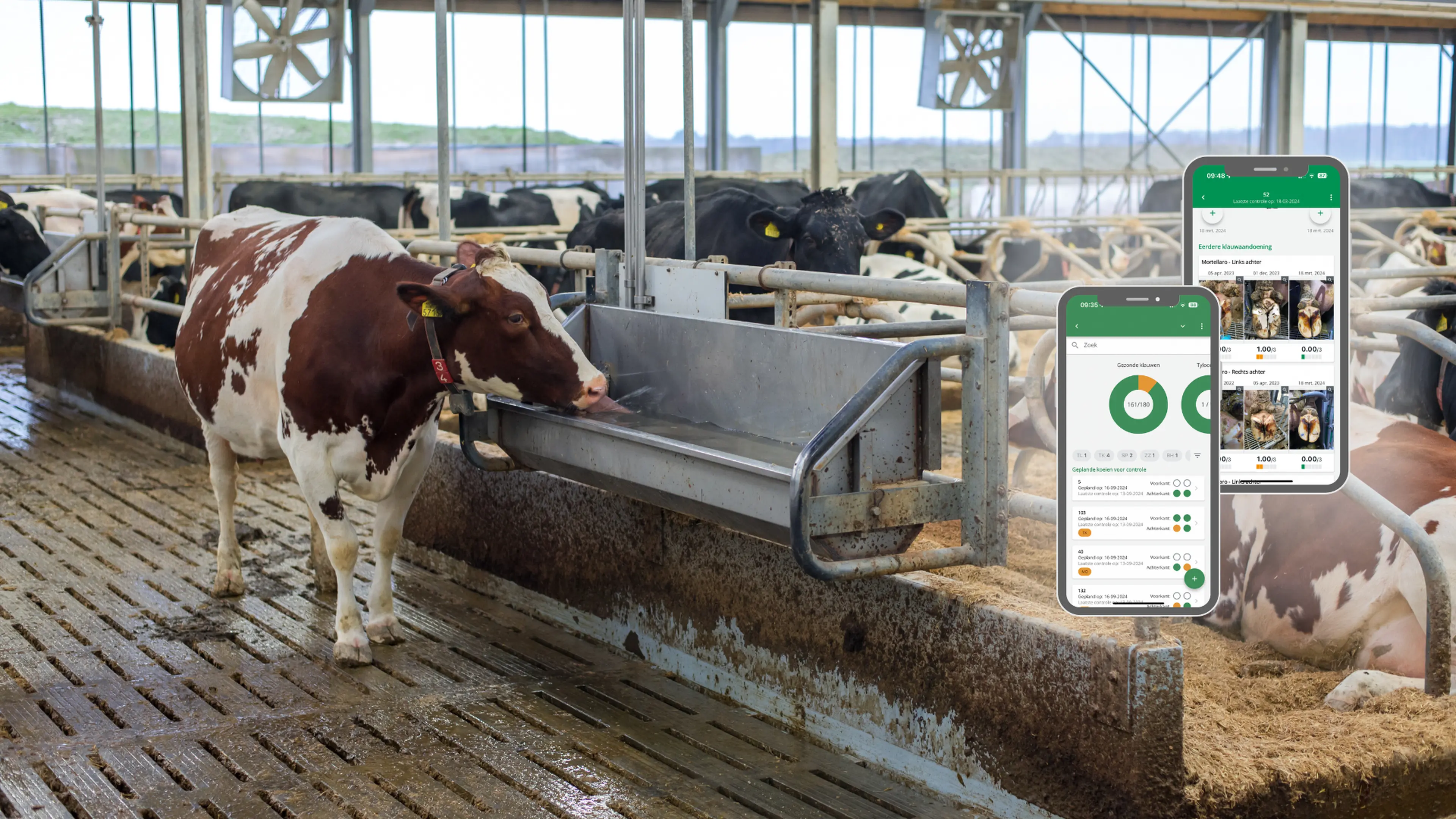 HyCare Digital Hoofcare