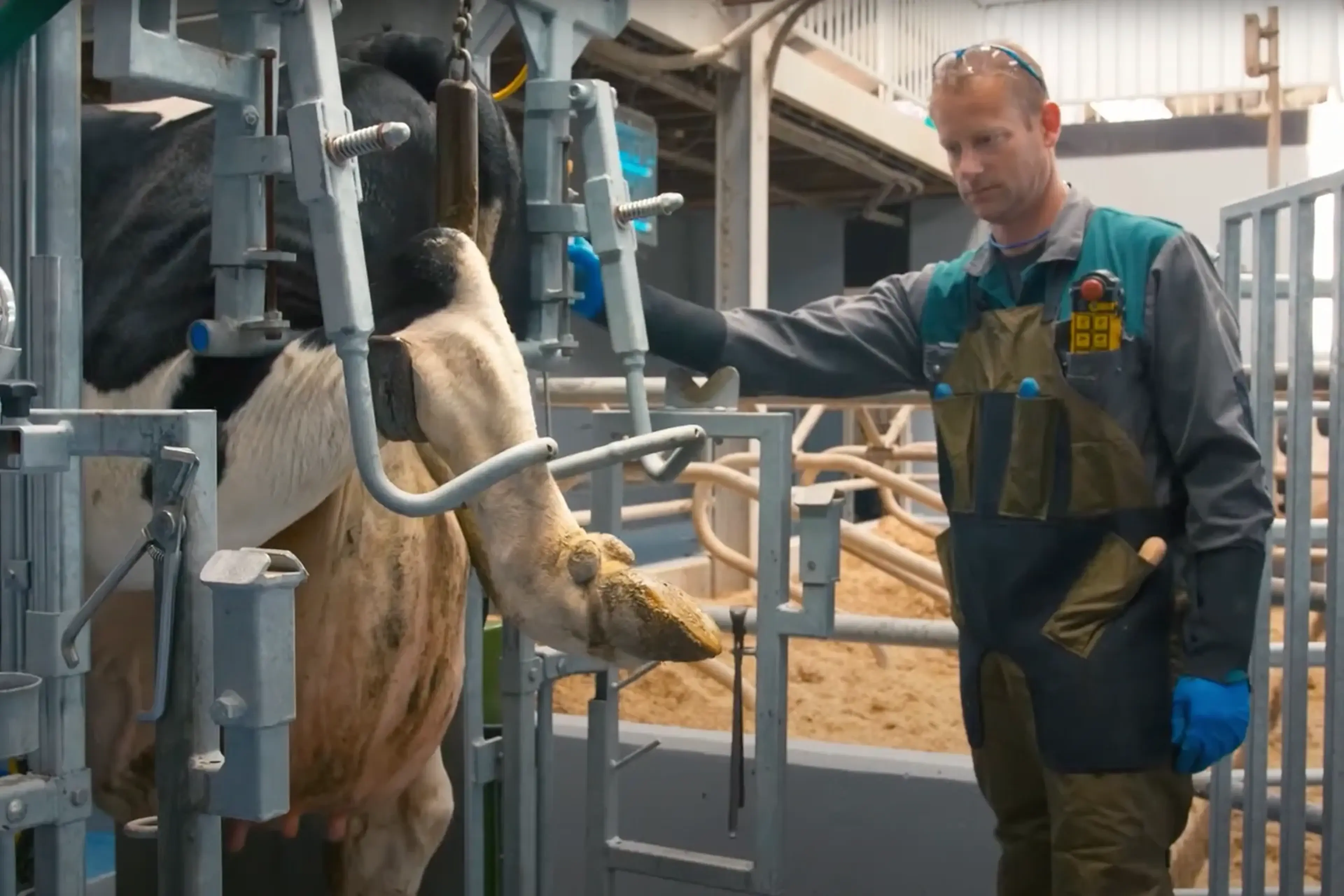 Step-by-step guide for optimal hoof health