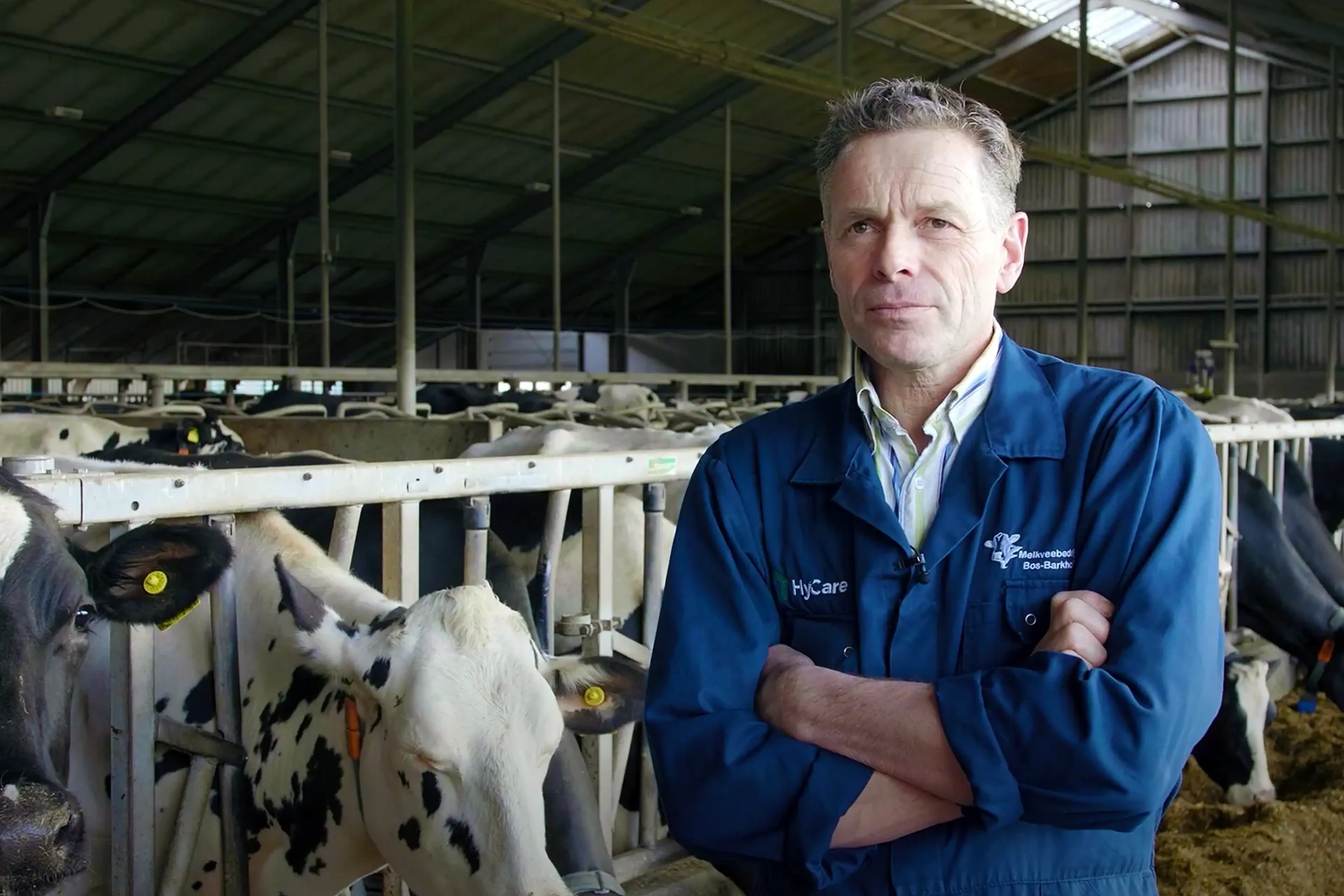 About HyCare | MS Schippers