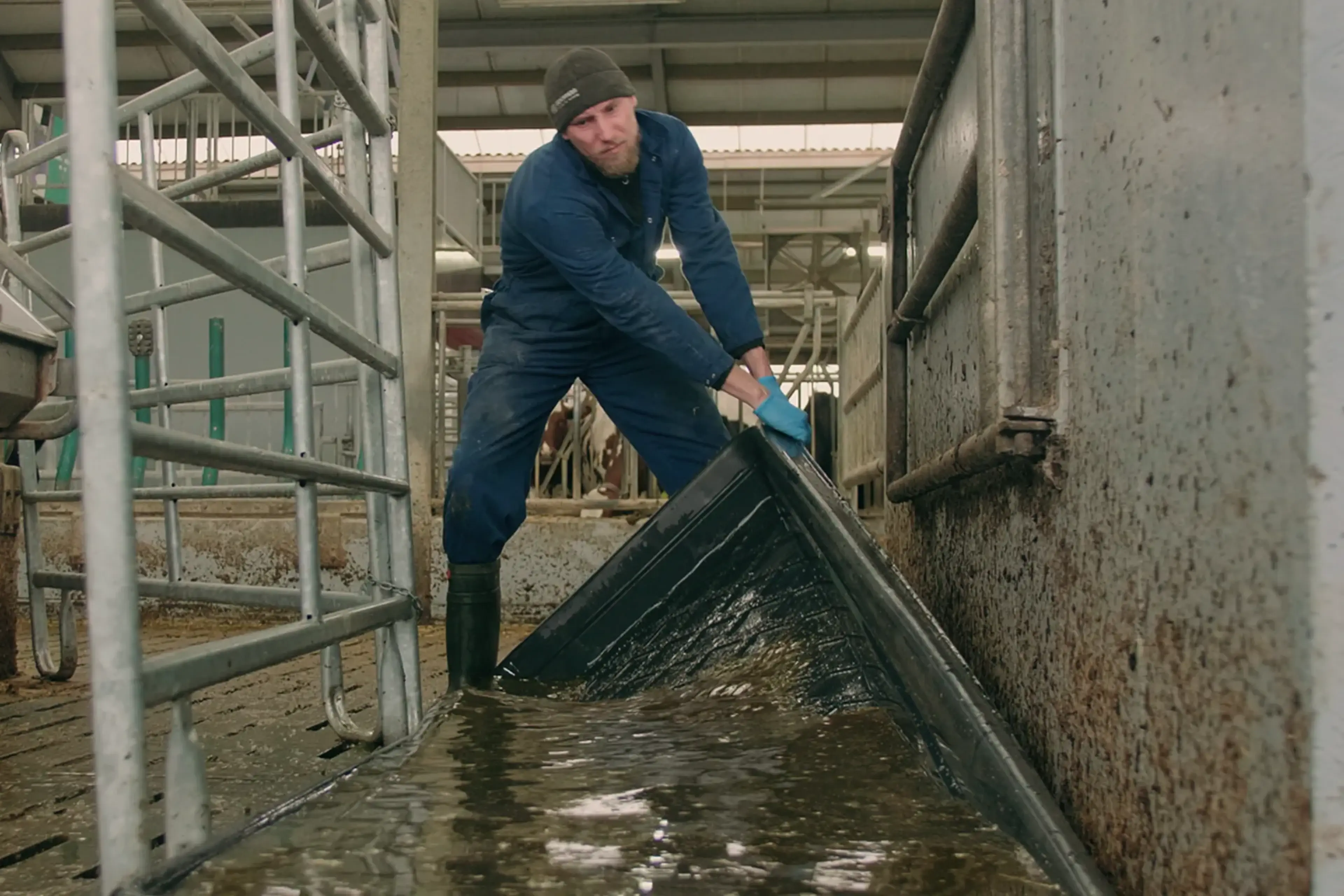 MS AutoHoofClean Mat - COWWALK