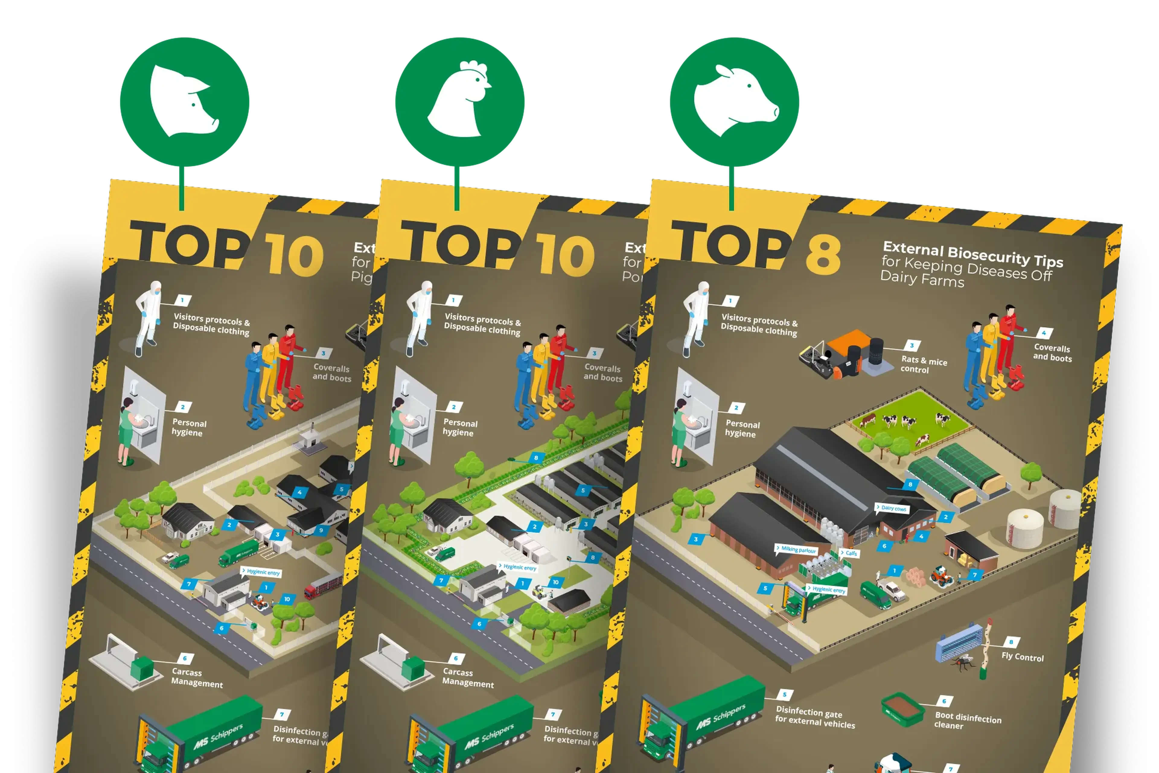 Top 10 tips voor externe biosecuirty voor veehouderijen